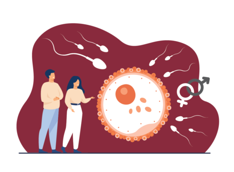 Servicios | Bio Medicina Reproductiva